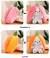 Reversible Carrot Strawberry Bunny Plushies